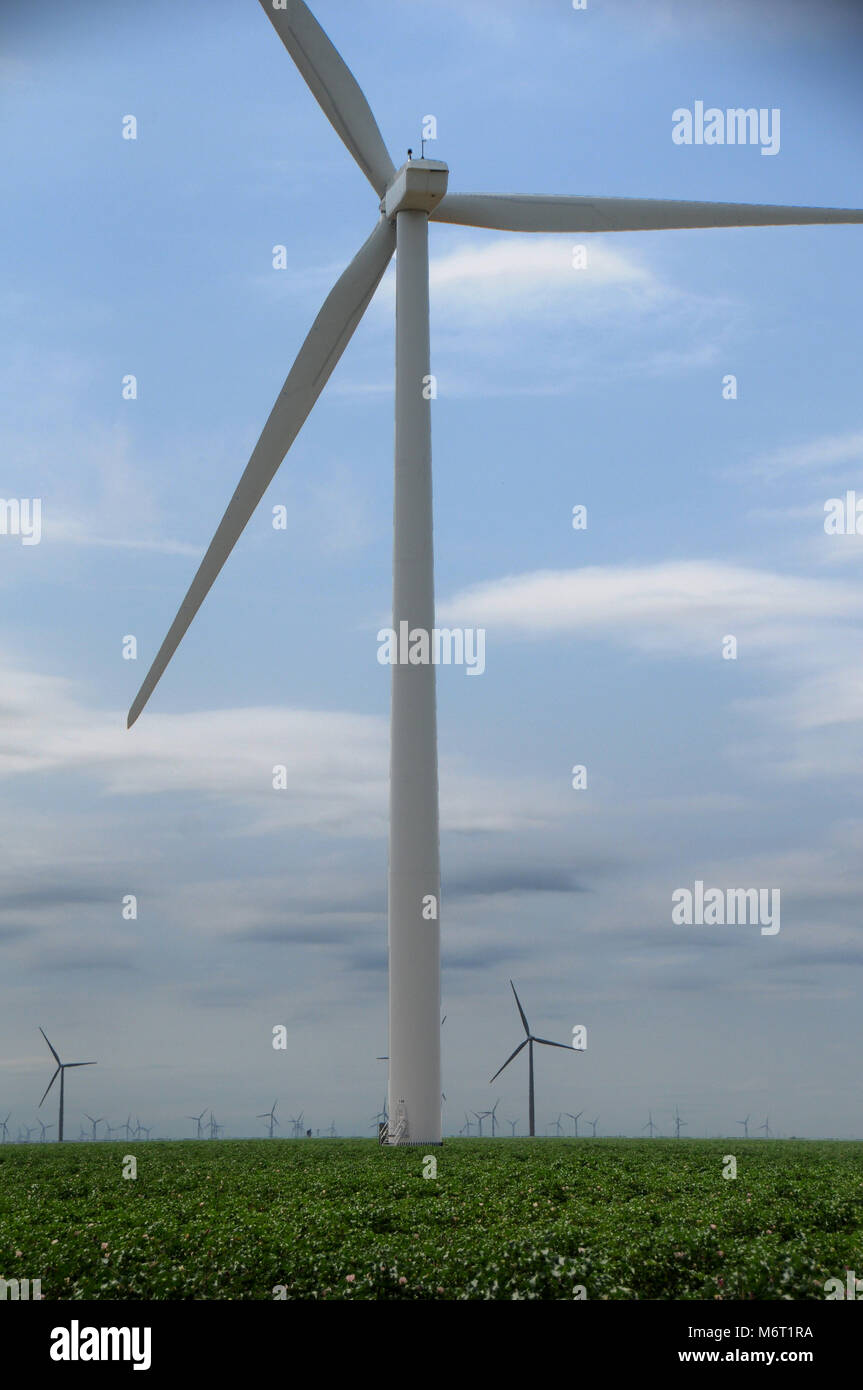 Wind power farm in West Texas Stock Photo - Alamy