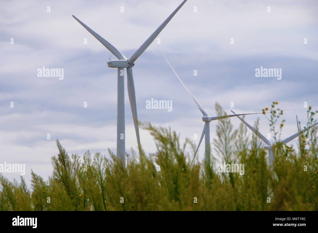 Wind power farm in West Texas Stock Photo - Alamy