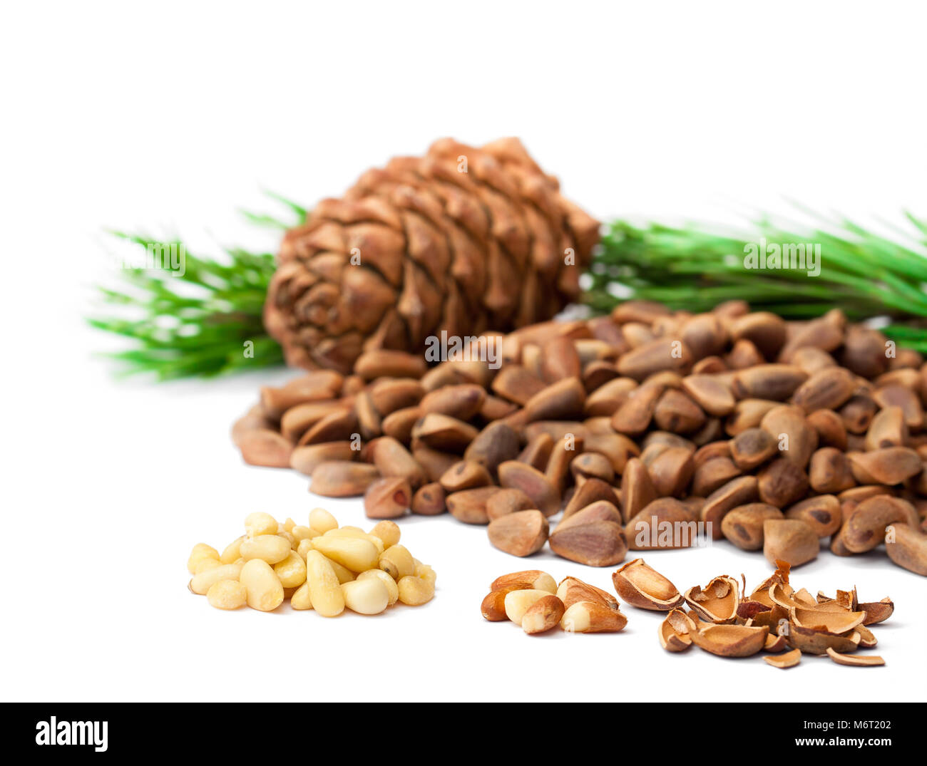 Cedar nuts and cedar cones on white background Stock Photo - Alamy