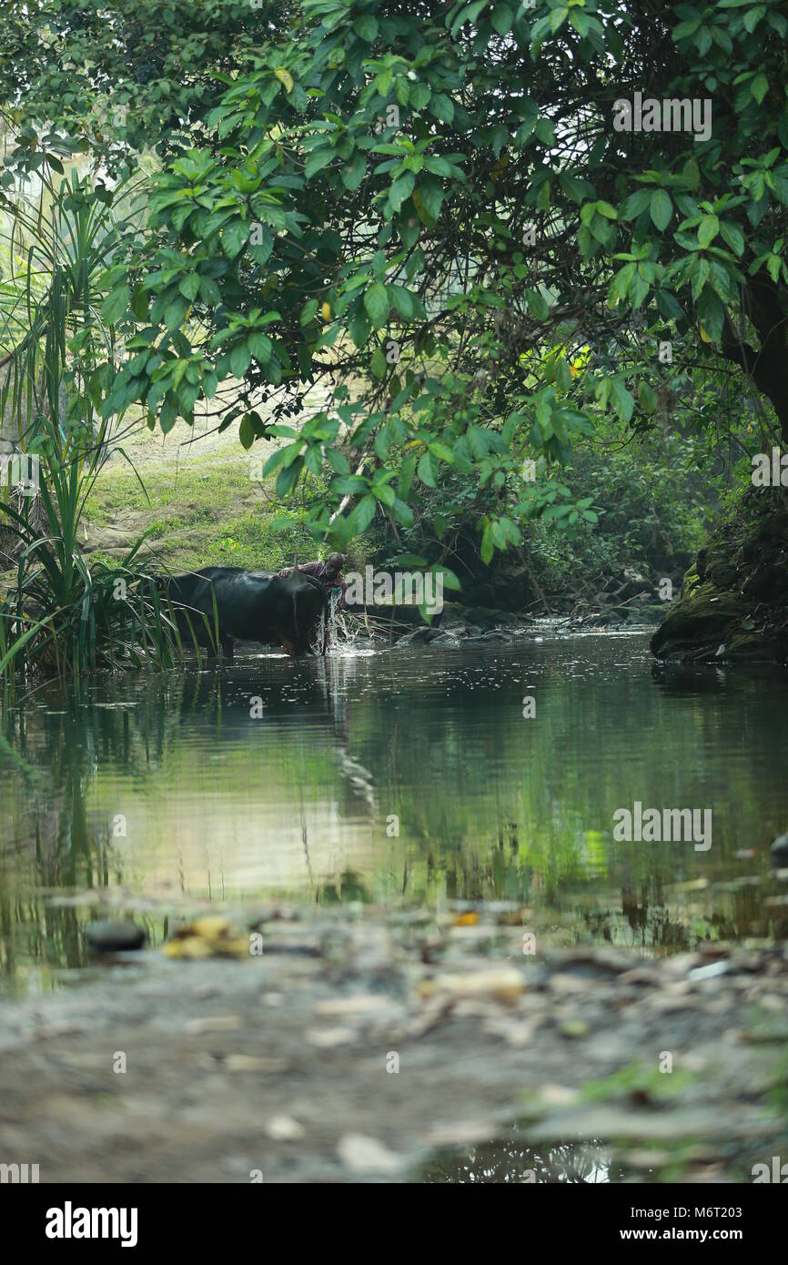 Kerala Wildlife Photography