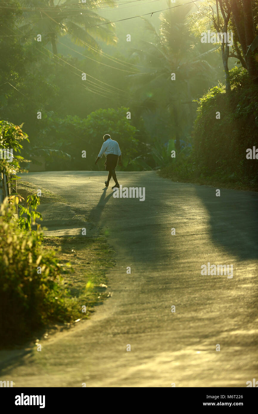 nature life, kerala nature Stock Photo - Alamy