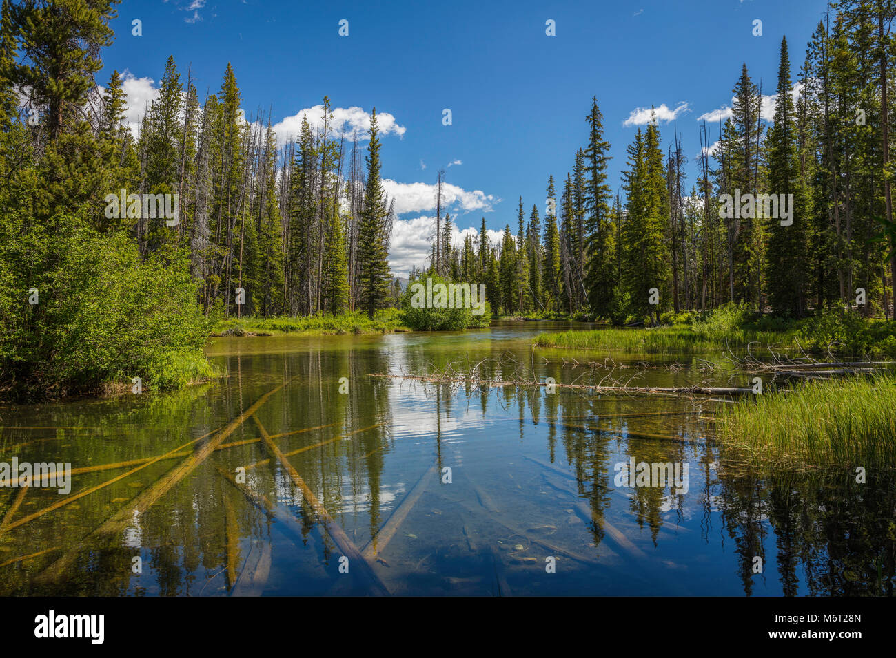 Alturas lake creek hi-res stock photography and images - Alamy