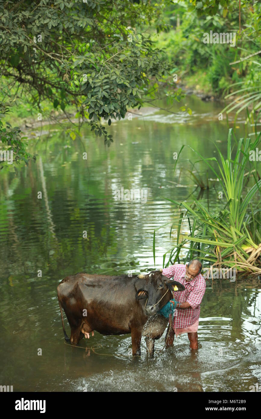 nature life, kerala nature Stock Photo - Alamy