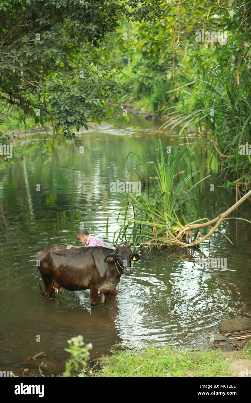nature life, kerala nature Stock Photo - Alamy