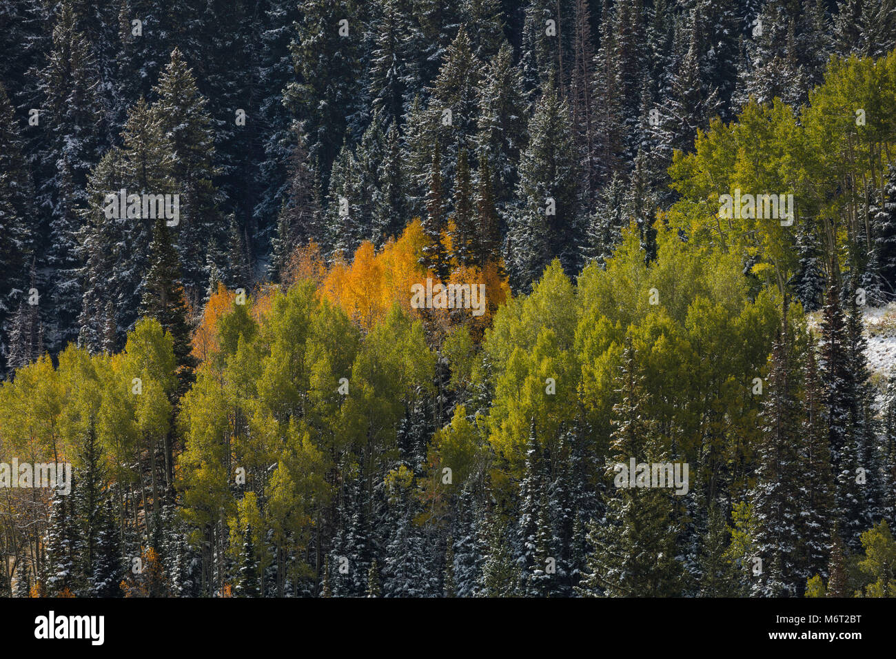 Wasatch range of rocky mountains hi-res stock photography and images ...