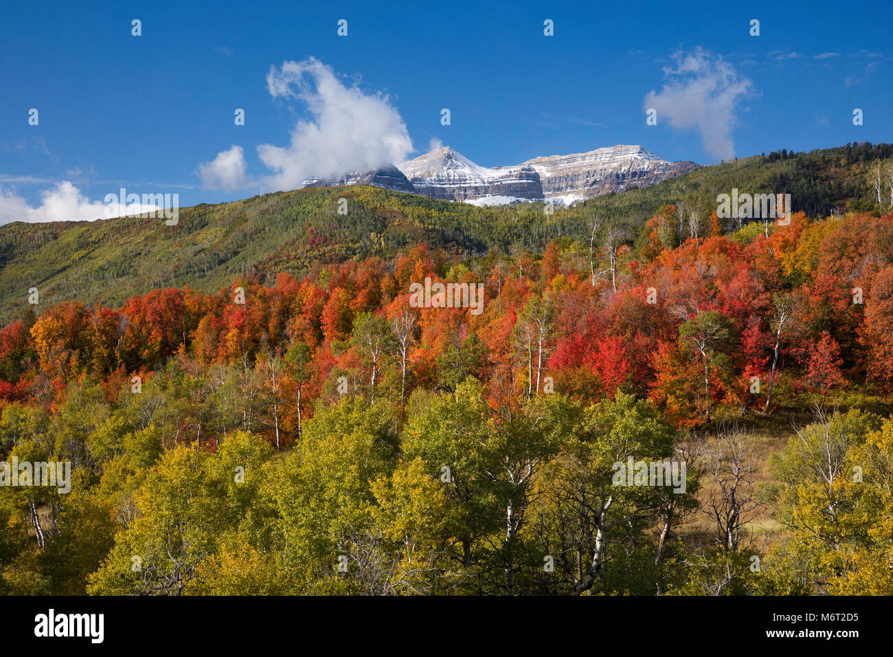 Fall colors, Mount Timpanogos, Wasatch Mountains, Utah Stock Photo - Alamy
