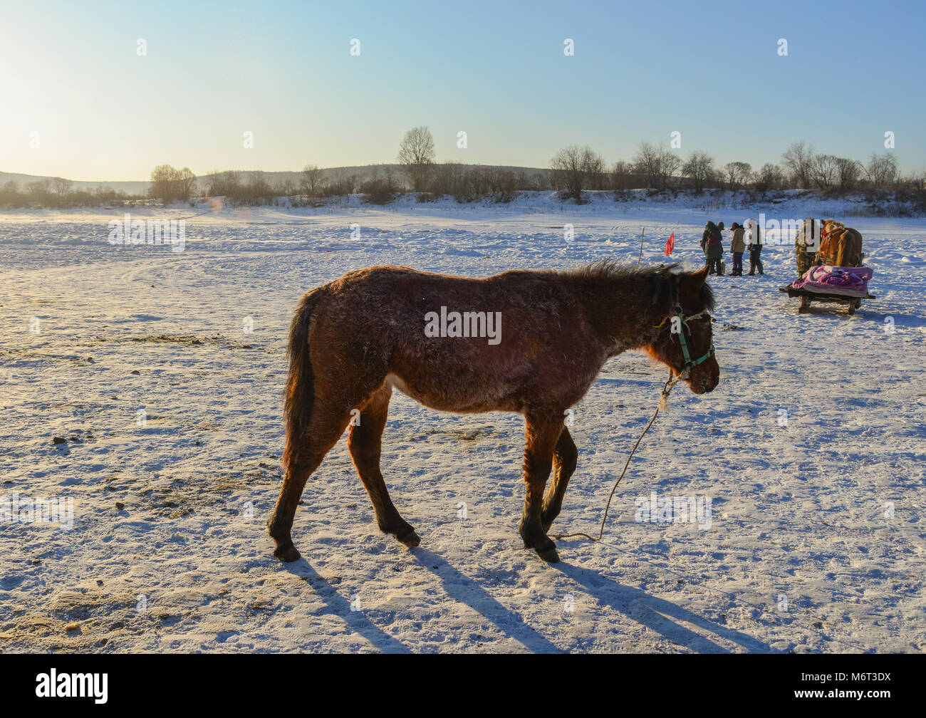 Mohe river hi-res stock photography and images - Alamy