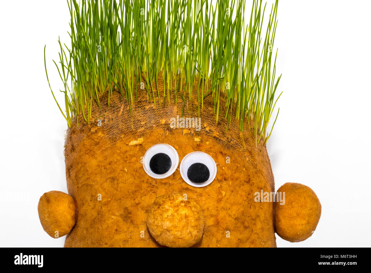 Funny toy potatoes green hi-res stock photography and images - Alamy