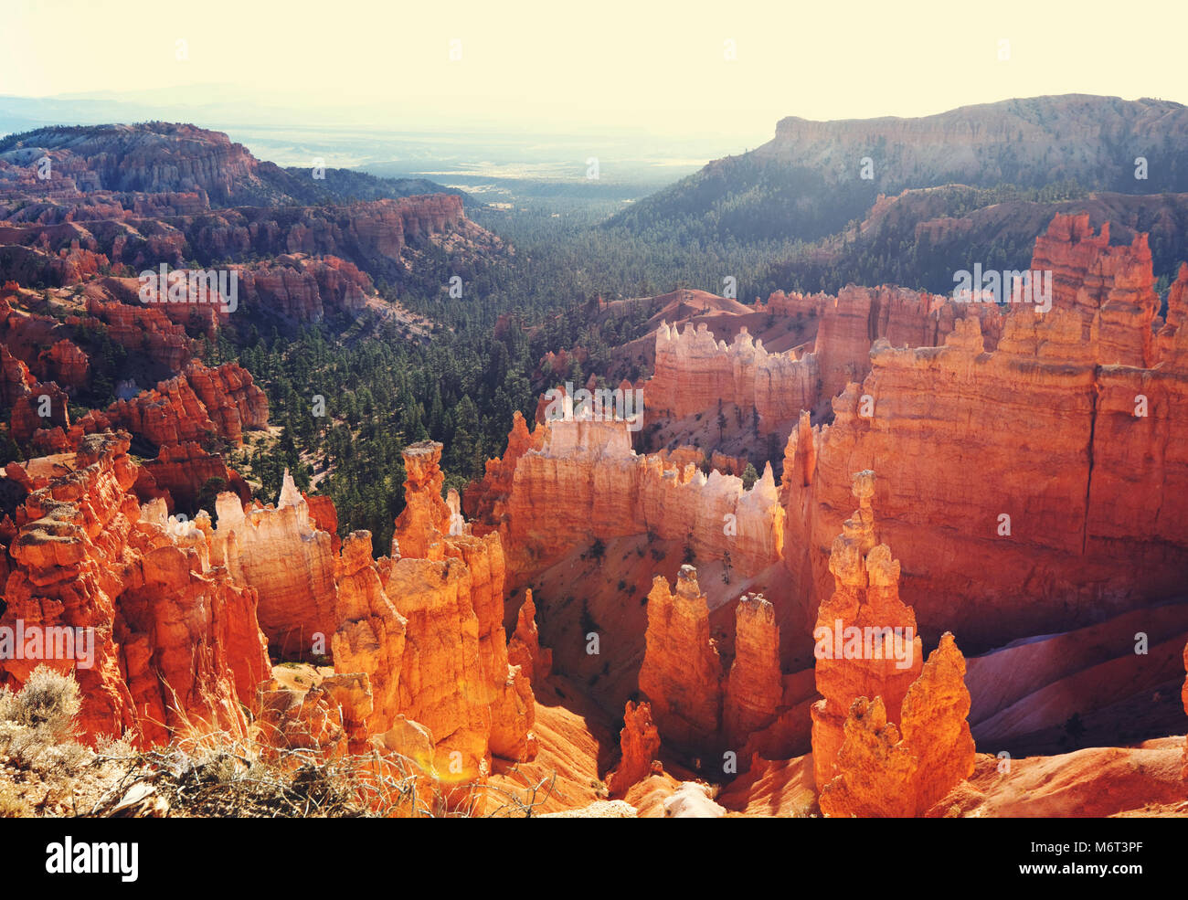 Picturesque colorful pink rocks of the Bryce Canyon National park in ...