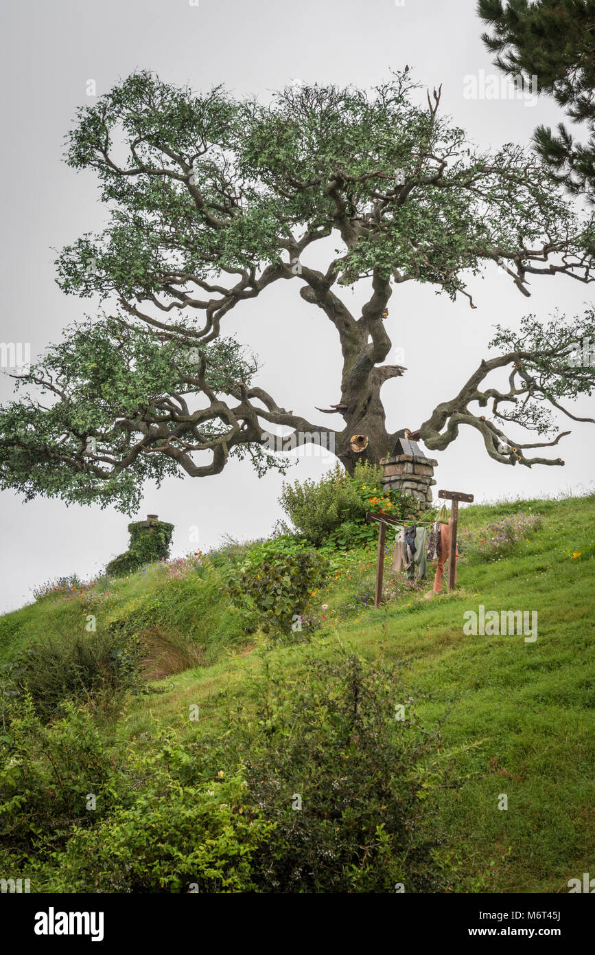 Hobbit houses, hobbiton movie set hi-res stock photography and images ...