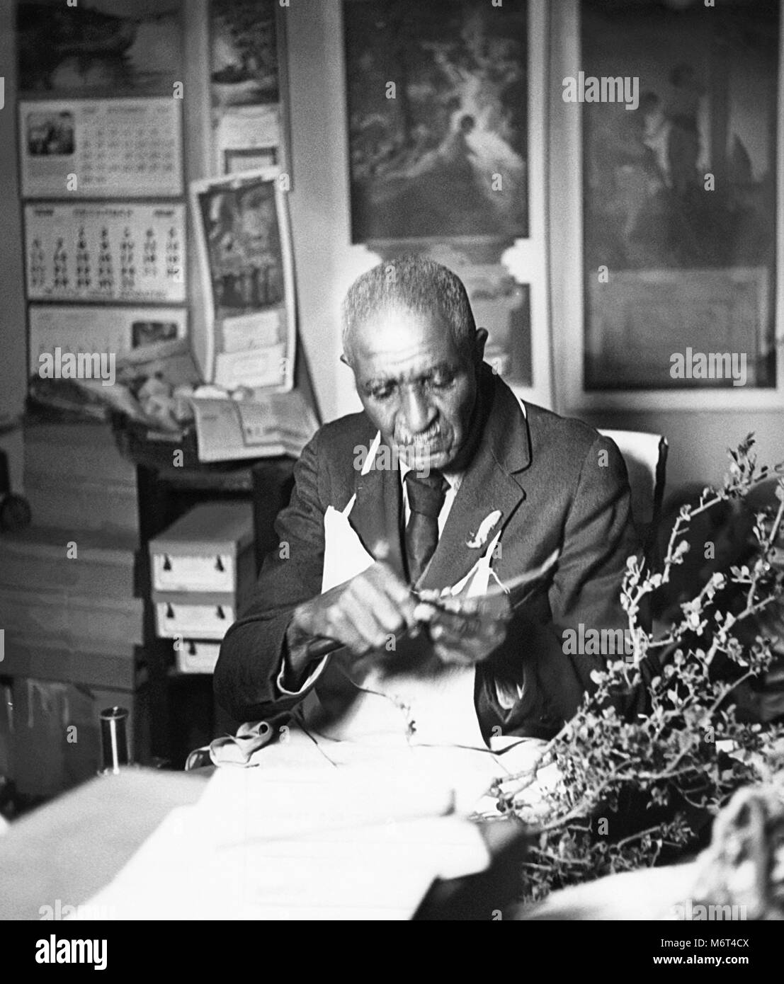 George Washington Carver Sweet Potato Inventions