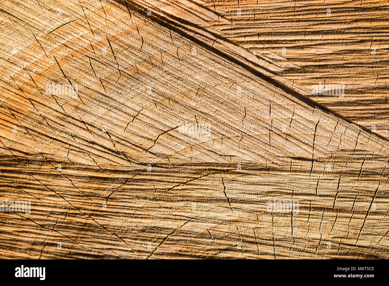 the texture of wood logs.Stylish Wooden background Stock Photo - Alamy
