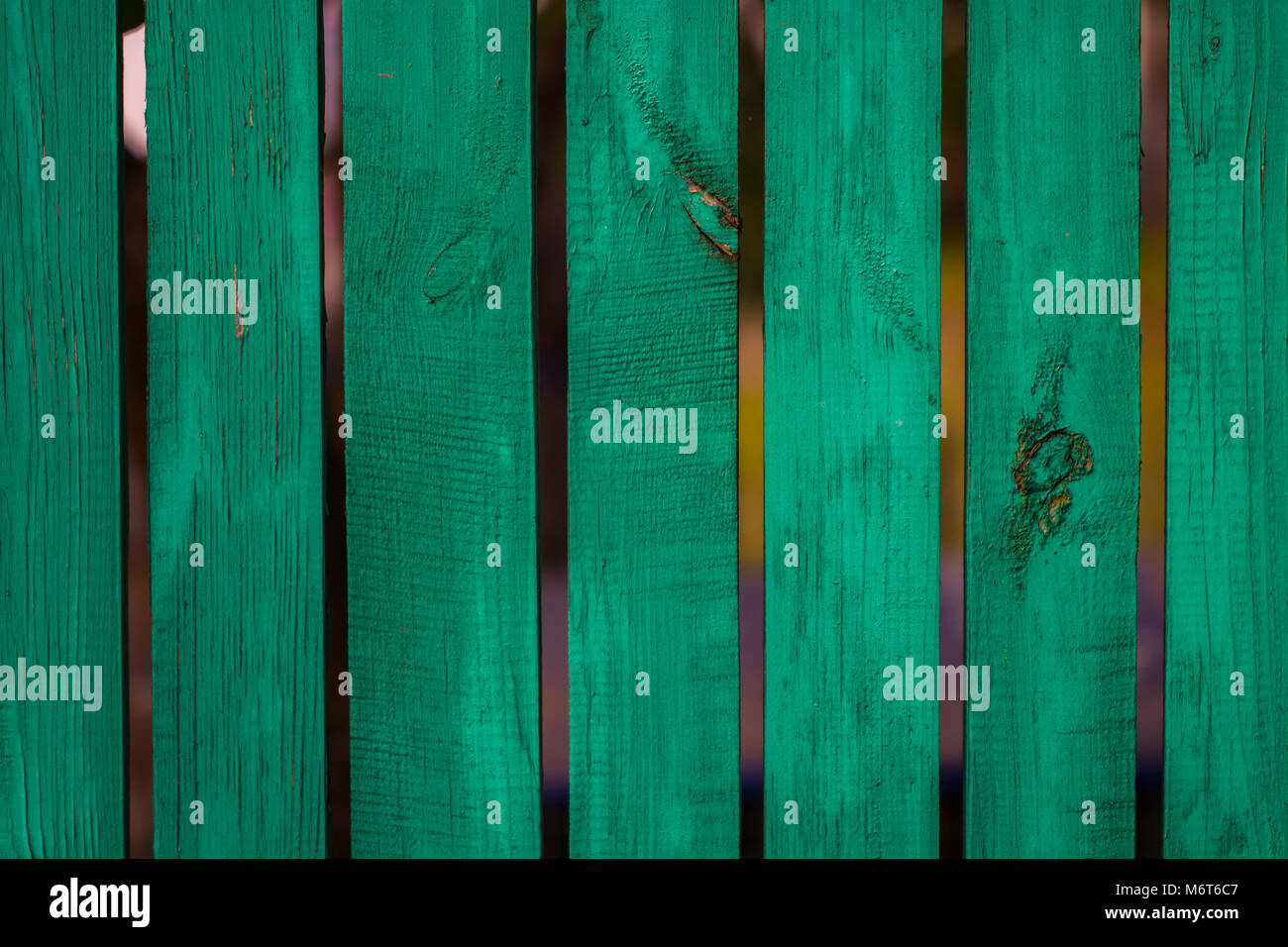 Vintage green wood panel fine arranged as wall for interior design and ...