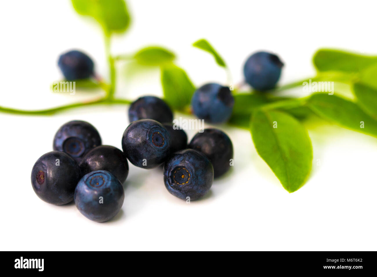 Stack of blueberries isolated on white with clipping path Stock Photo ...