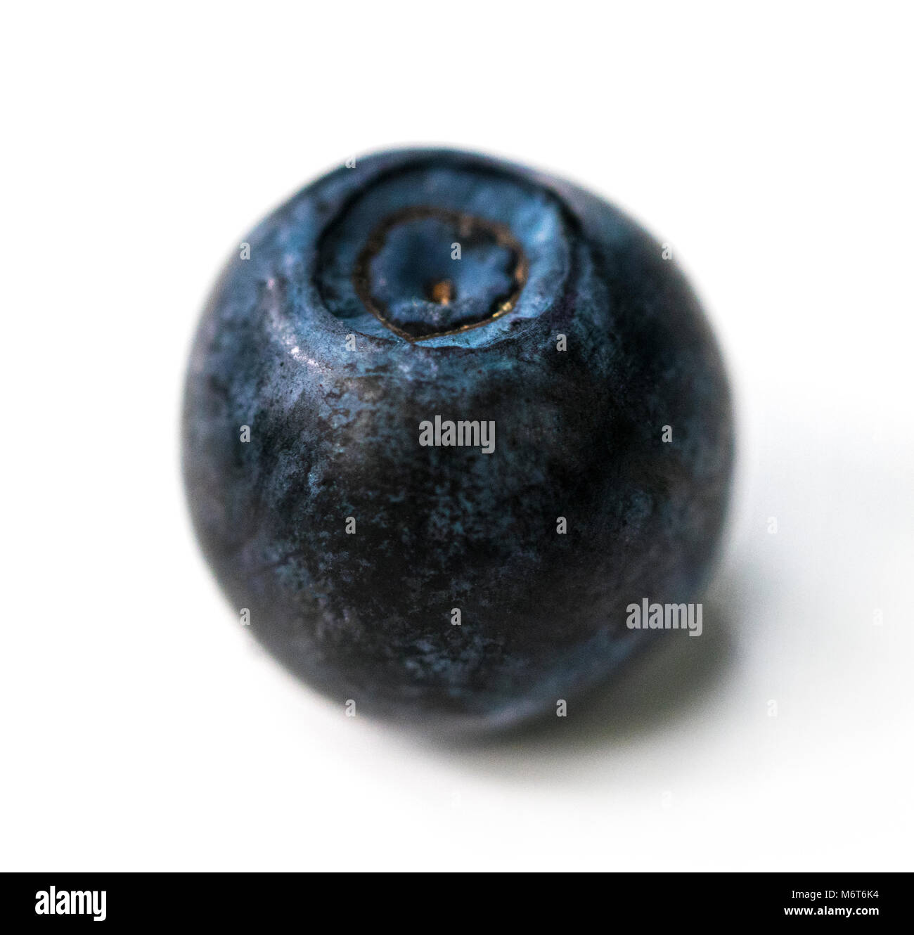 Single blueberry berry isolated on white background. One blueberry ...