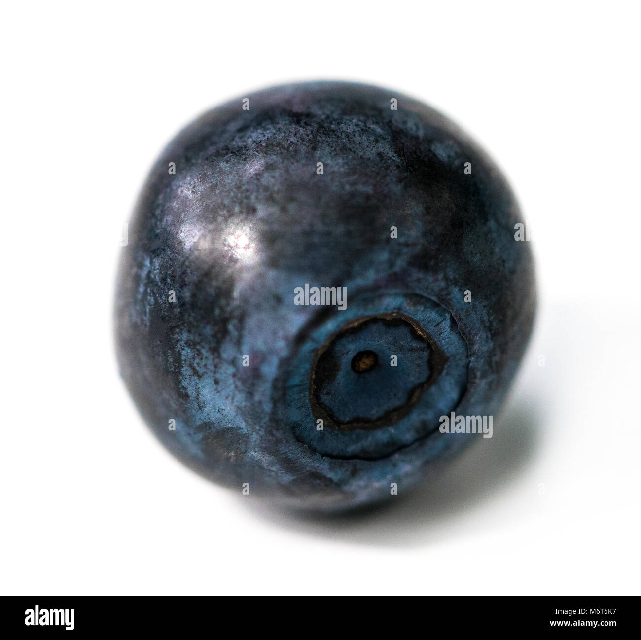 Single blueberry berry isolated on white background. One blueberry ...