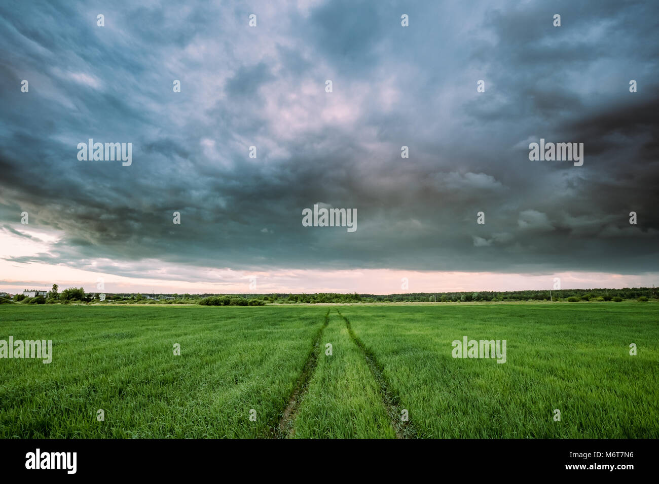 Trace grass hi-res stock photography and images - Alamy