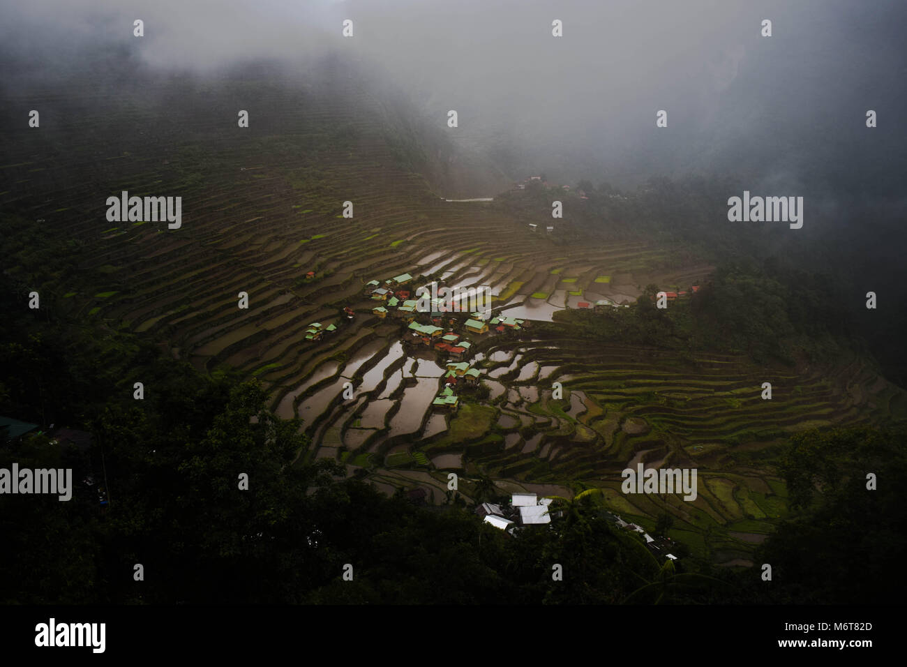 Captured rice hi-res stock photography and images - Alamy