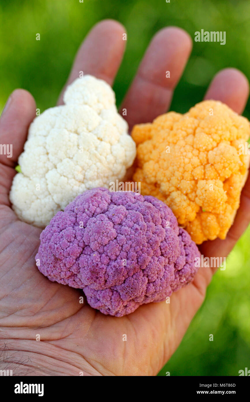 Varied people hi-res stock photography and images - Alamy