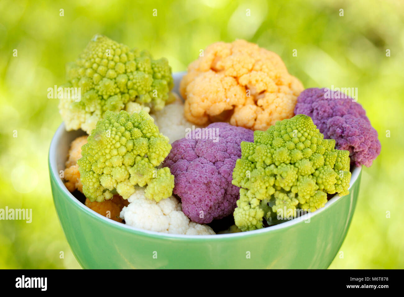 Purple romanesco broccoli hi-res stock photography and images - Alamy