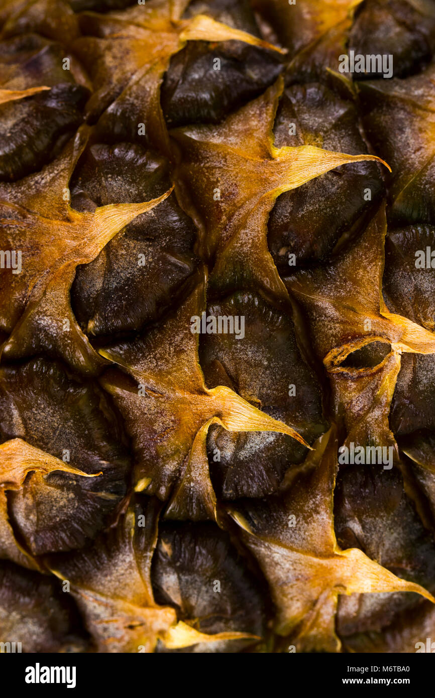 Pineapple fruit close-up. Texture of ananas pattern skin Stock Photo ...