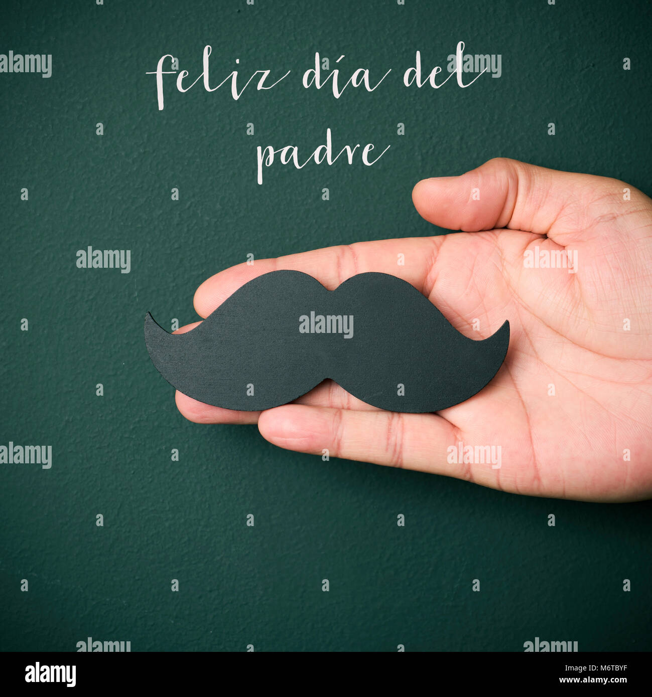 the text feliz dia del padre, happy fathers day in spanish, and the ...