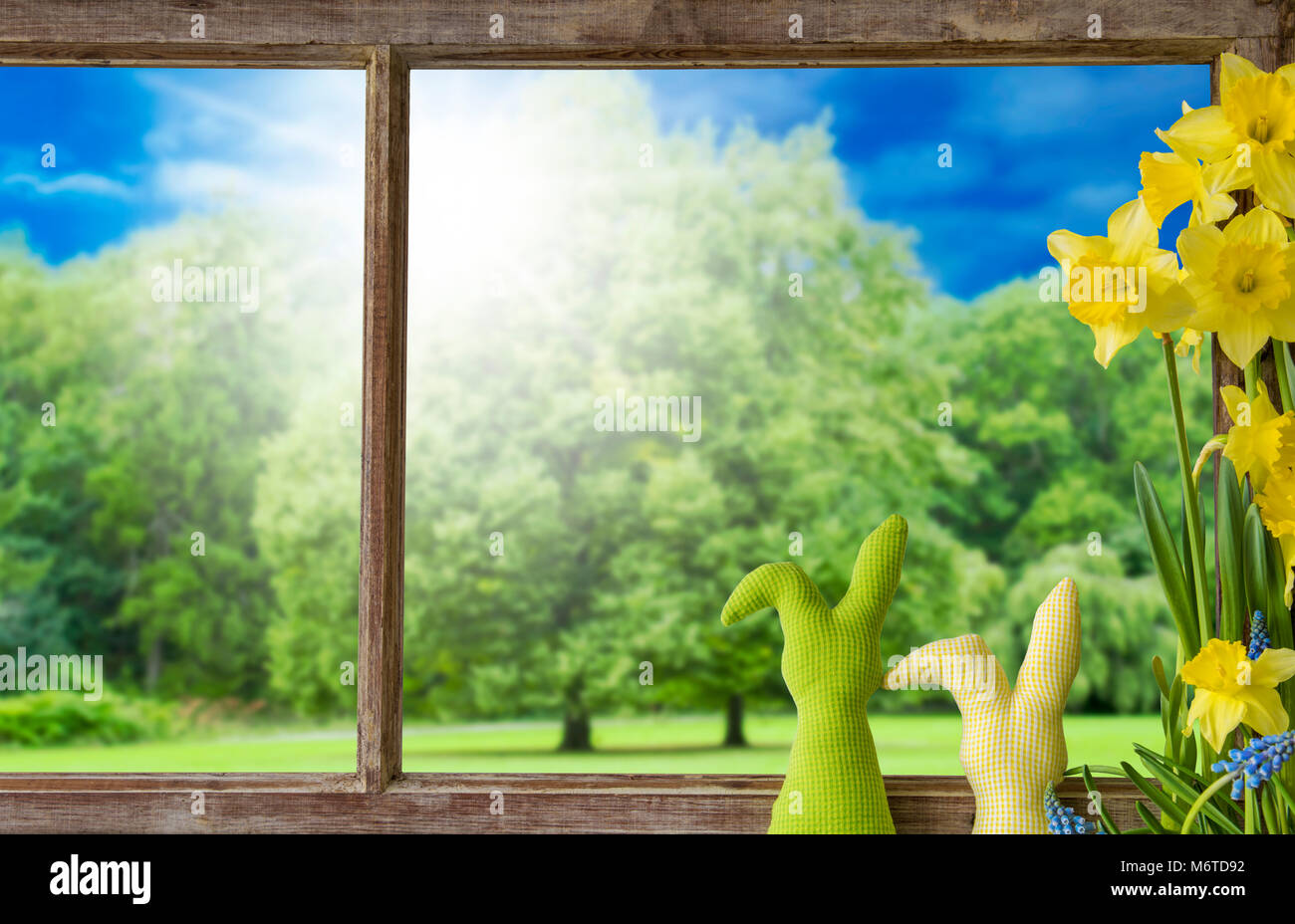 Window Frame With View To Beautiful Scenery Like Trees And Sunny Blue ...