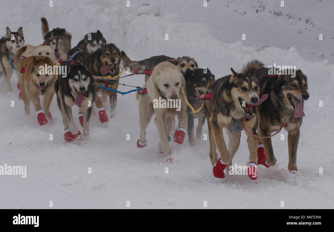 Sixty-seven mushers kicked off the 46th Annual Iditarod Trail Sled Dog ...