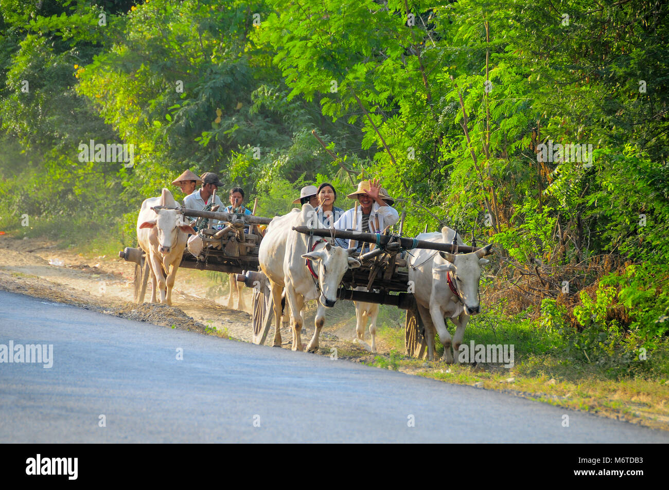 Transportation by ox carts hi-res stock photography and images - Alamy