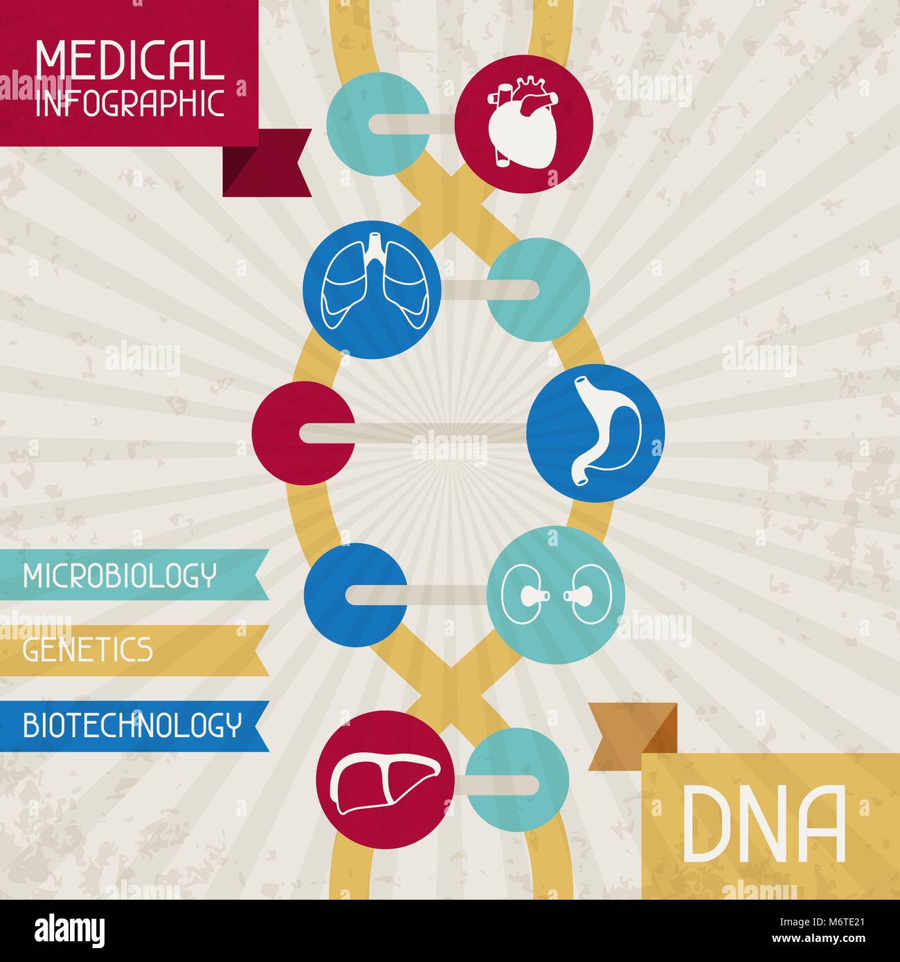 Medical infographic DNA abstract background Stock Vector Image & Art ...