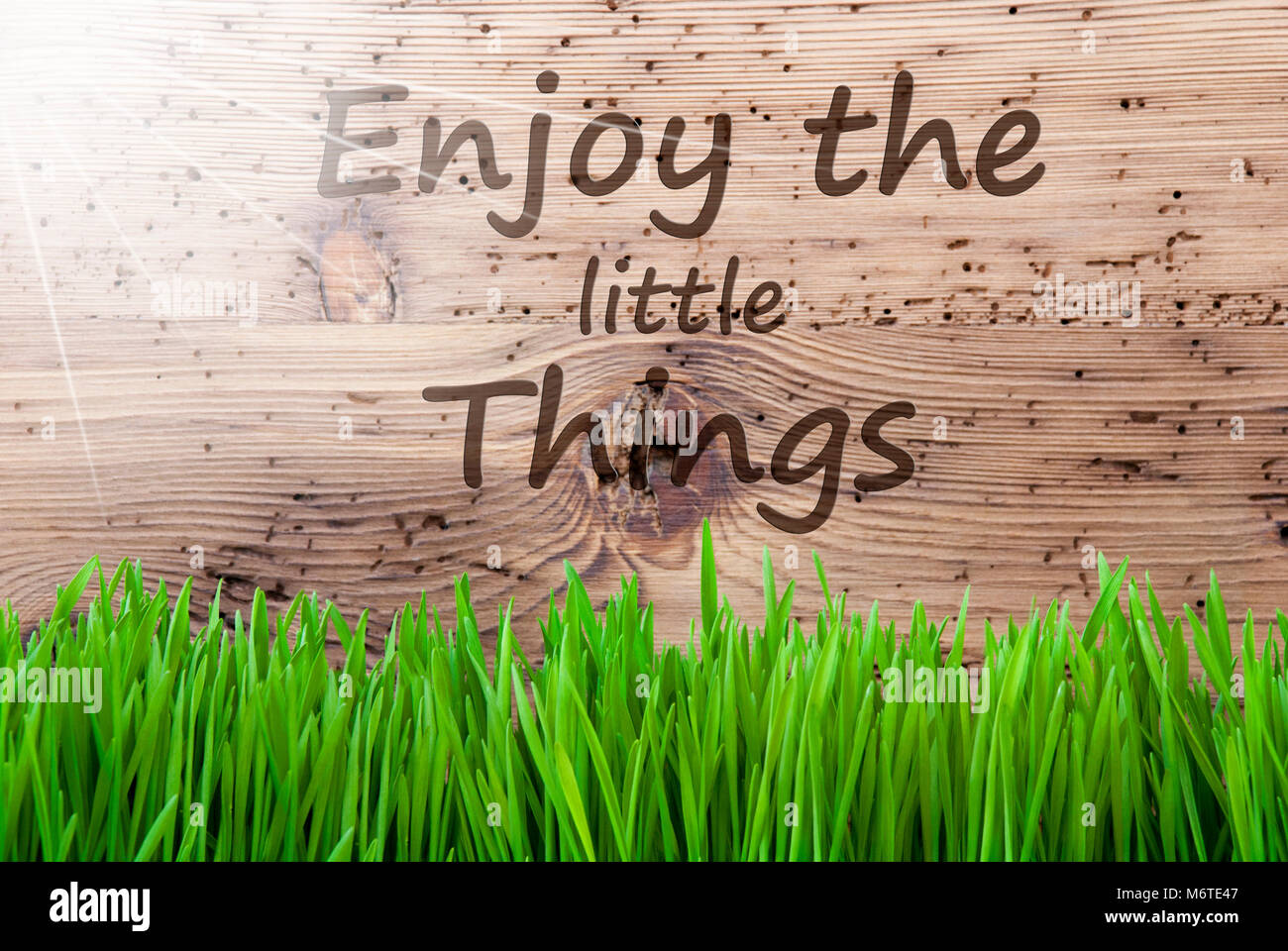 English Quote Enjoy The Little Things. Spring Season Greeting Card ...