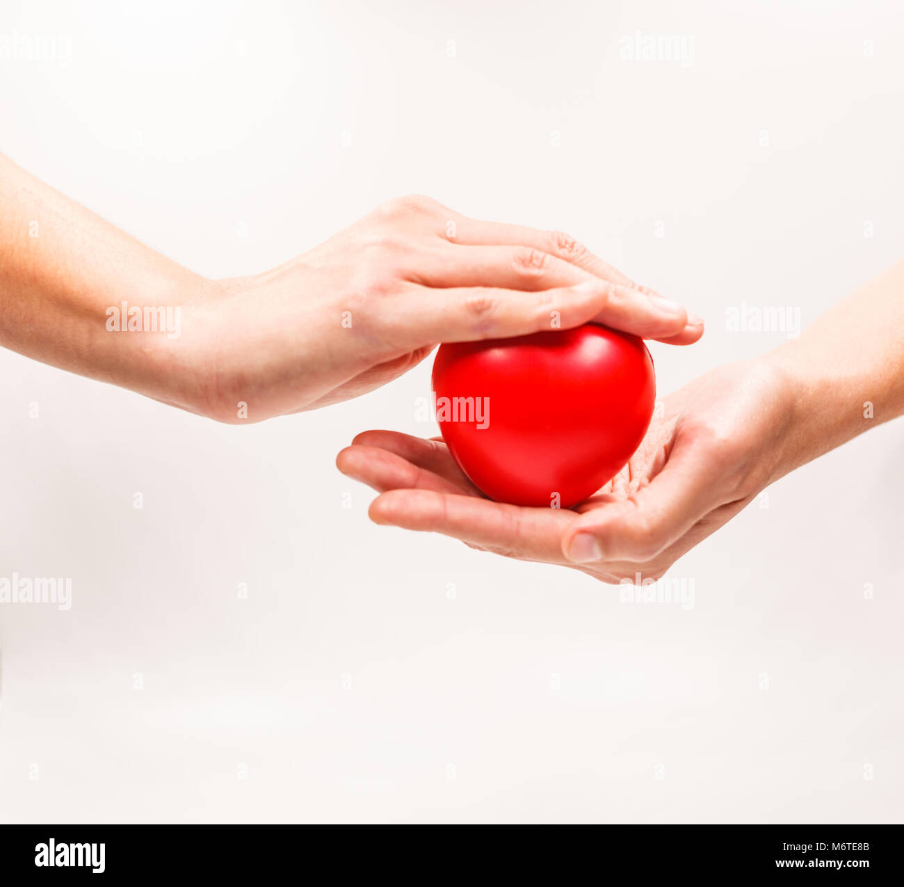 Heart shape in the helping hands on white background. Heart illness ...