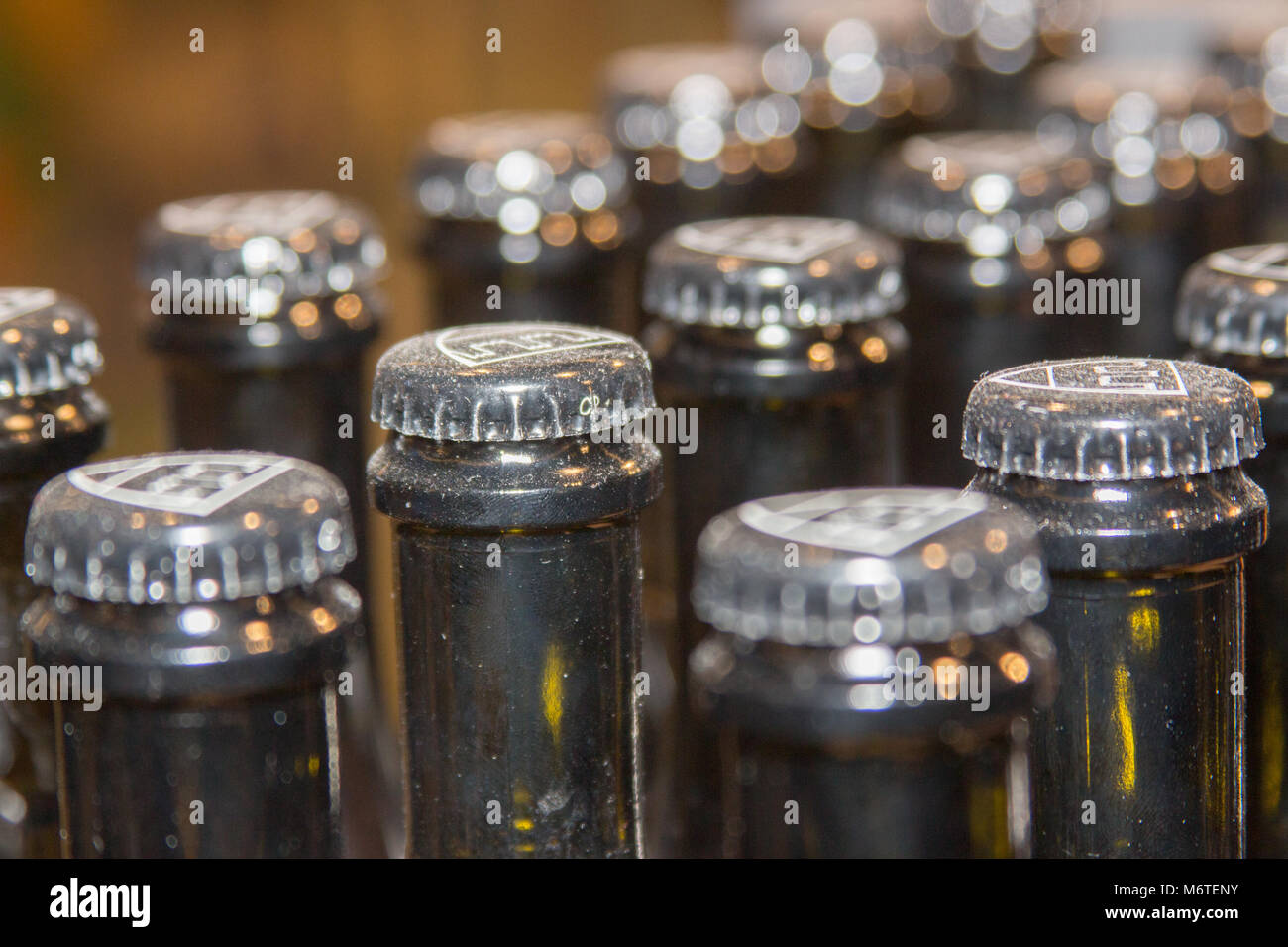 typical Italian dishes and products traditional Italian cuisine Stock ...