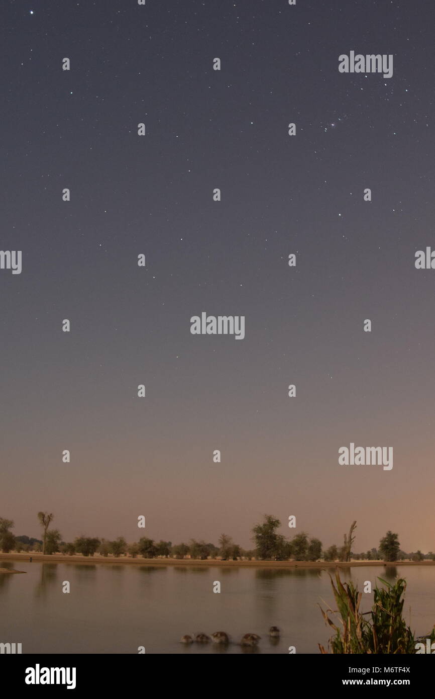 Orion canis major lepus hi-res stock photography and images - Alamy