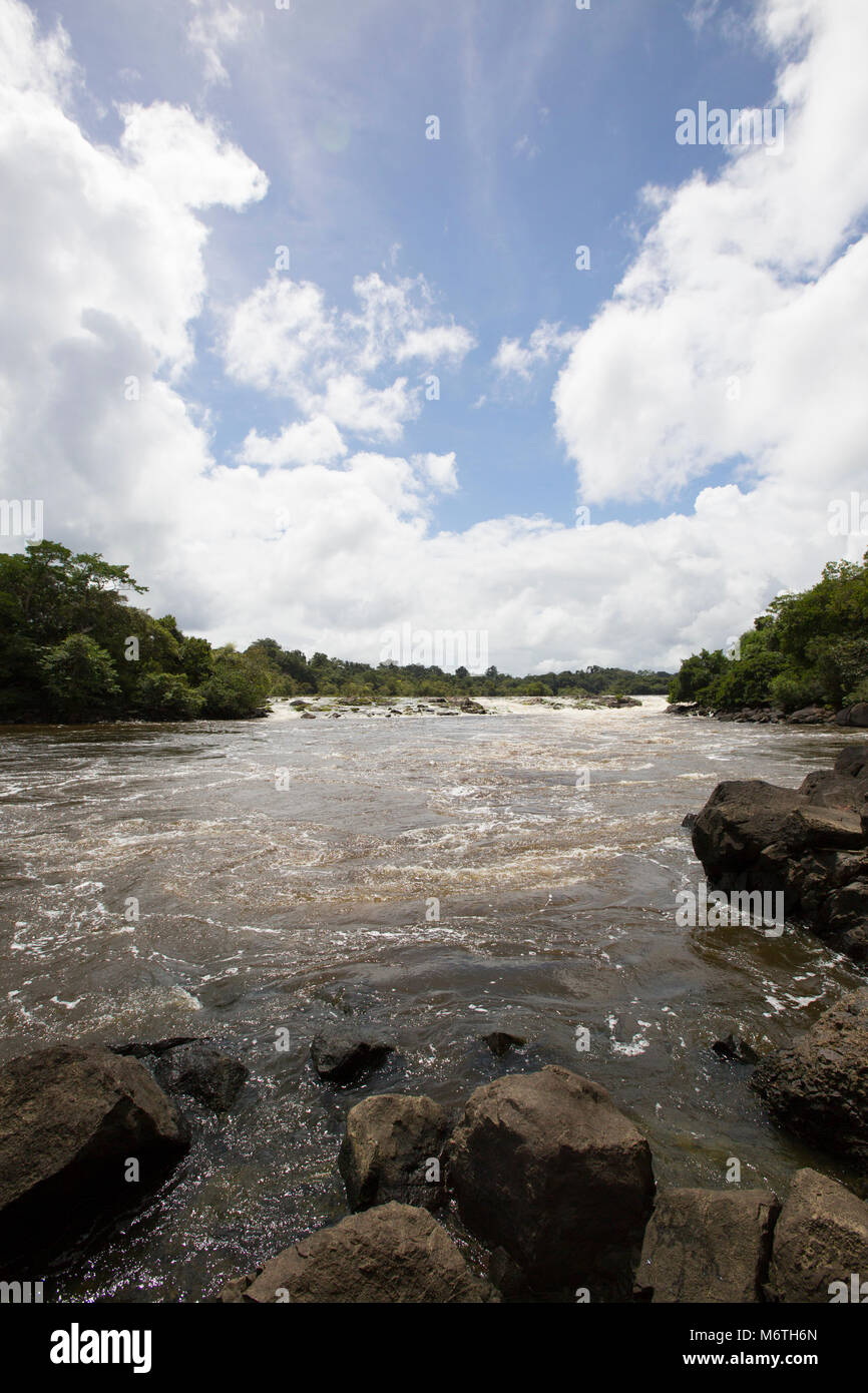 Coppename river hi-res stock photography and images - Alamy