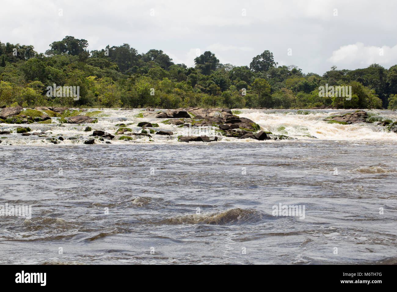 The Coppename river near Raleighvallen reserve, Suriname, South America ...