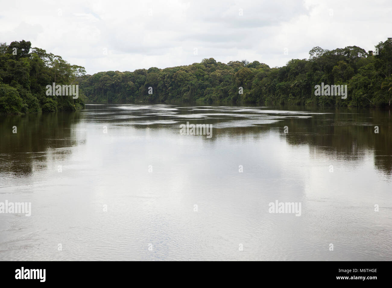 Coppename river hi-res stock photography and images - Alamy