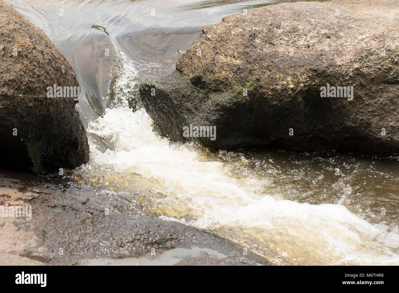 The Coppename river near Raleighvallen reserve, Suriname, South America ...