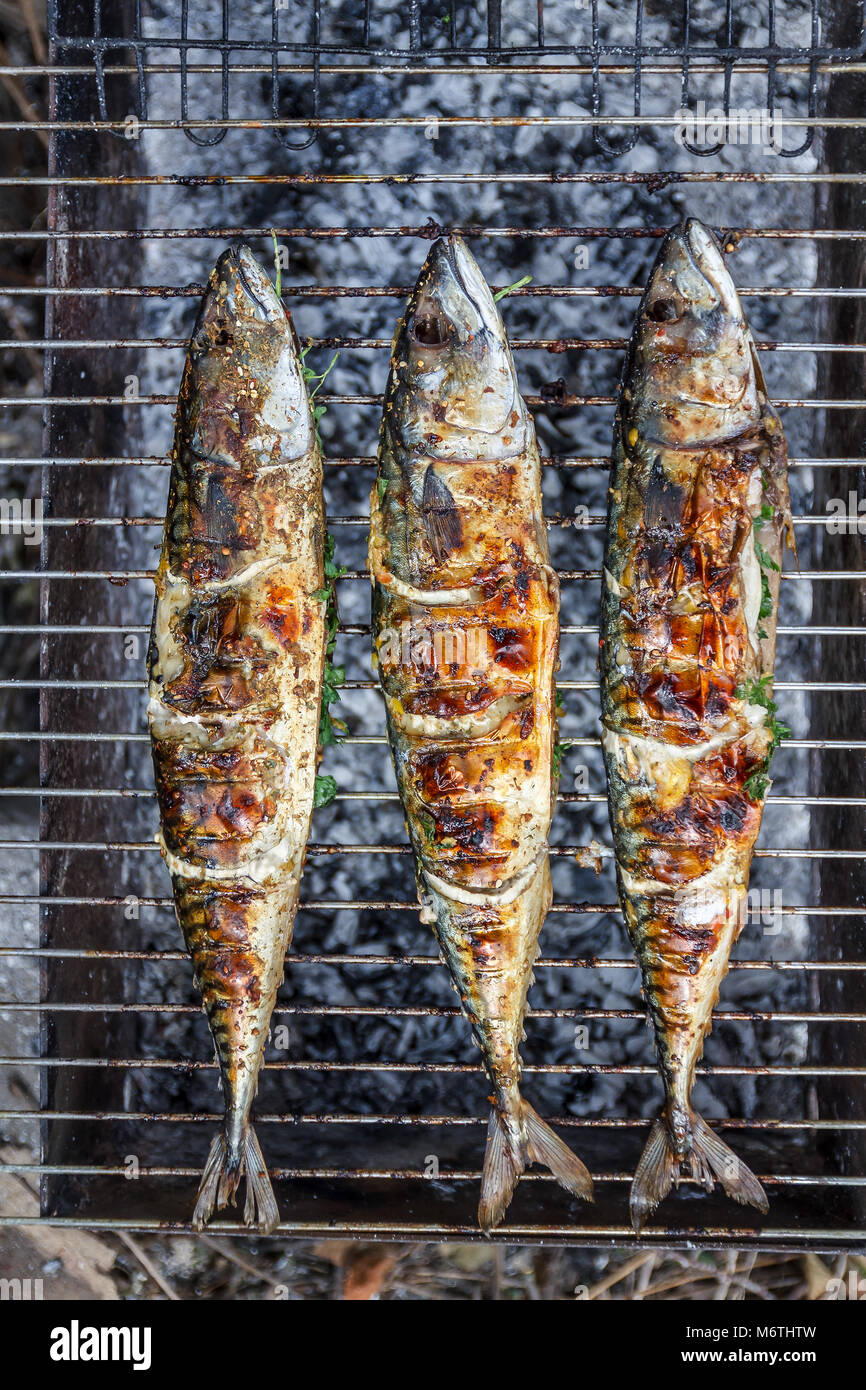 Roasted carcass fish mackerel cooked on the grill, top view, close-up ...