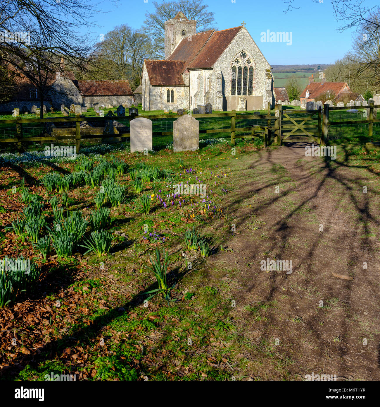 Early spring morning light on St Michael's Church at Chalton on the ...