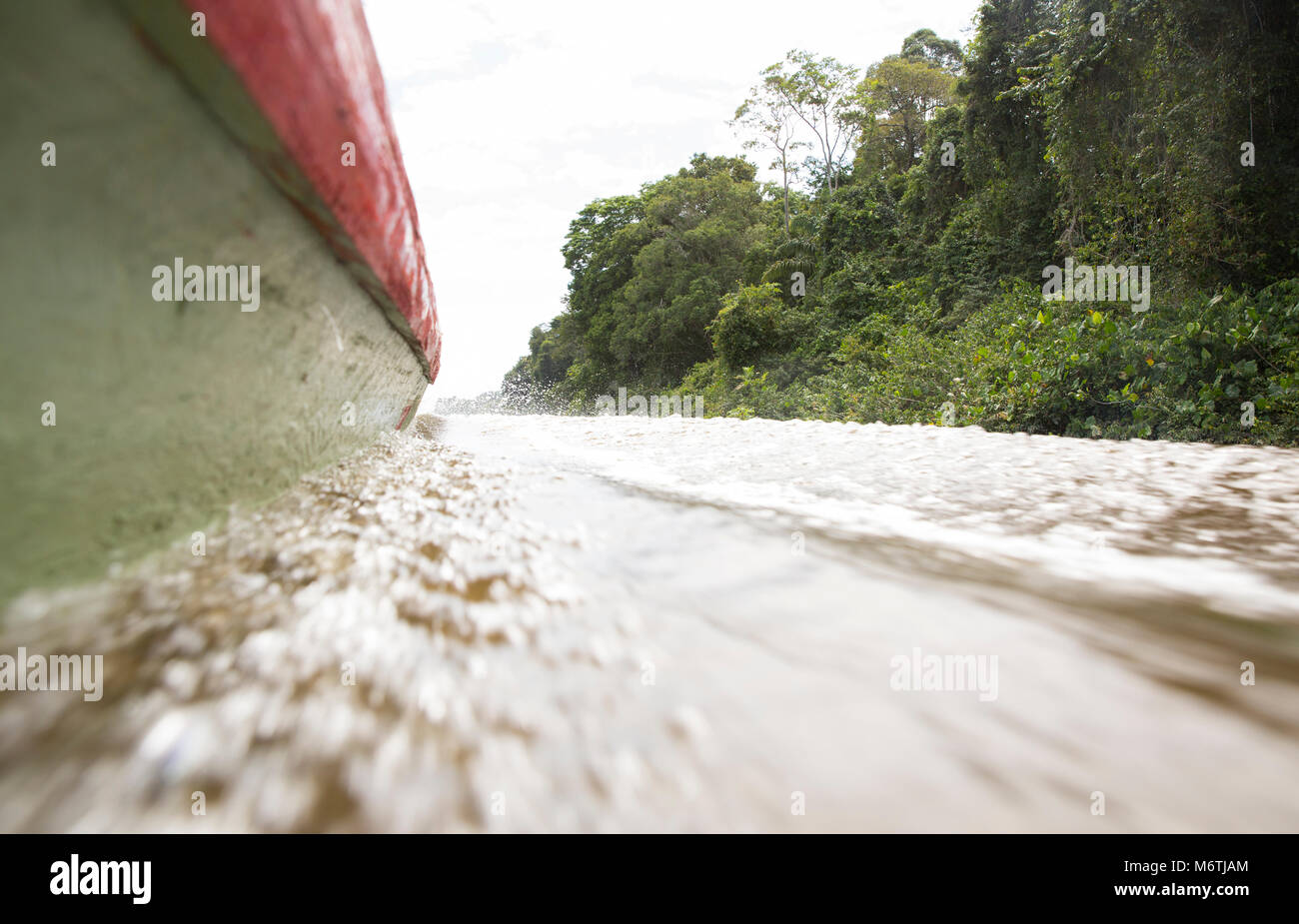Canoe trip along the Coppename river, Suriname, South America Stock ...
