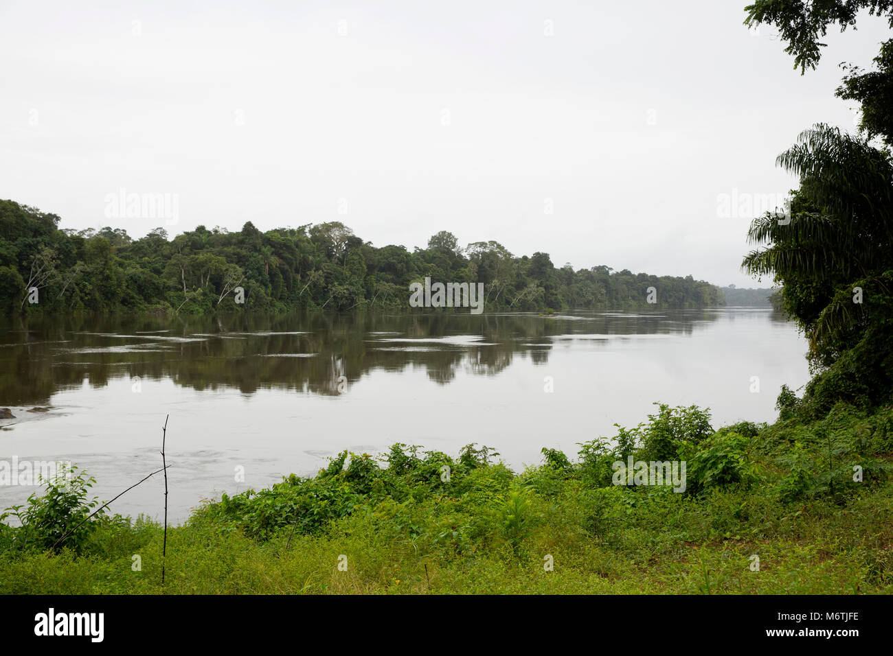 Looking upstream on the Coppename River near Witagron, Suriname, South ...