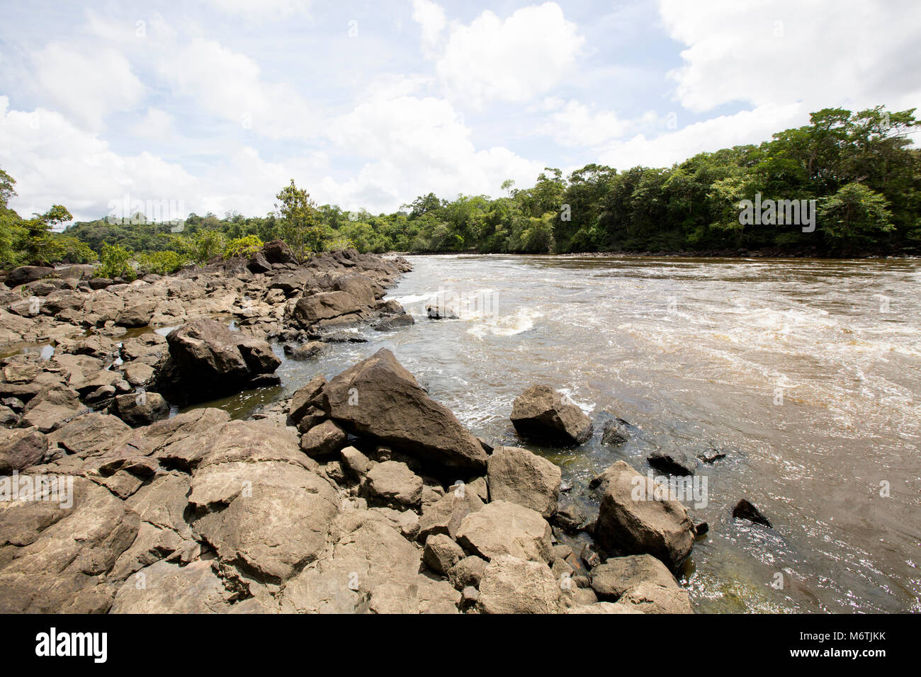 The Coppename River near Raleighvallen nature reserve, Suriname, South ...