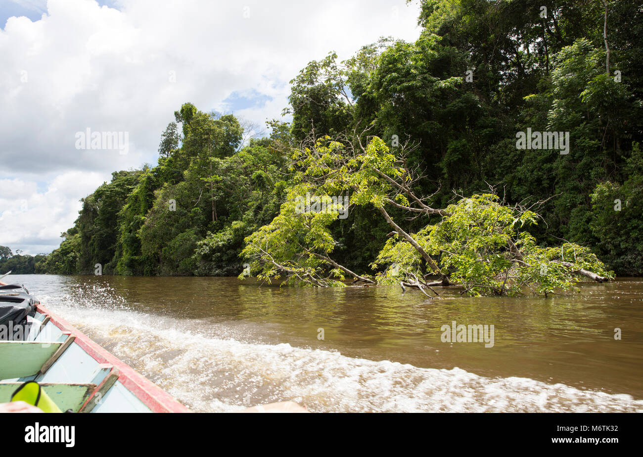Coppename river hi-res stock photography and images - Alamy