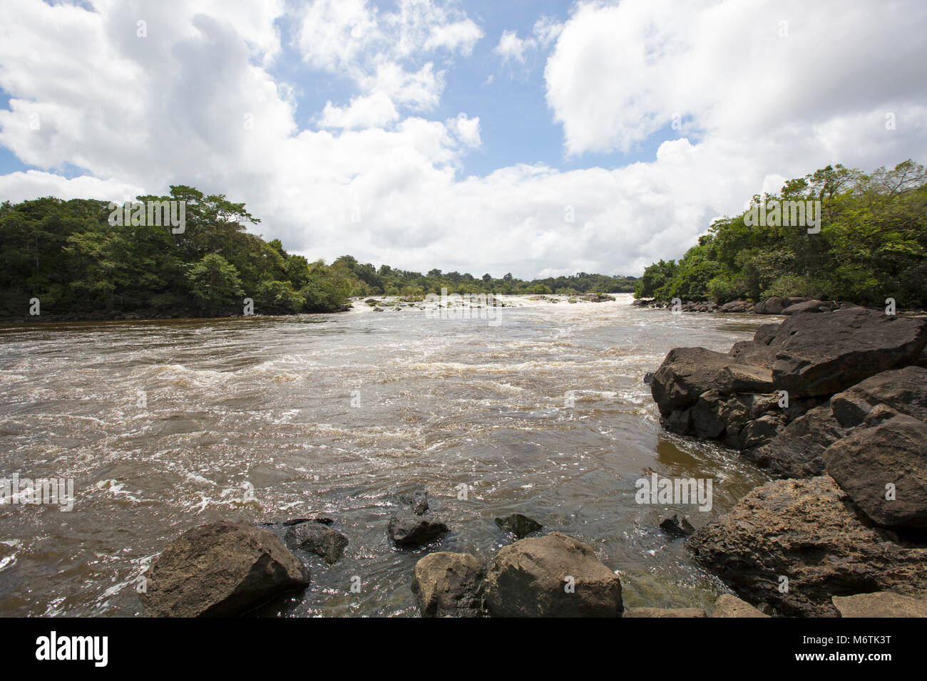 The Coppename River near Raleighvallen nature reserve, Suriname, South ...