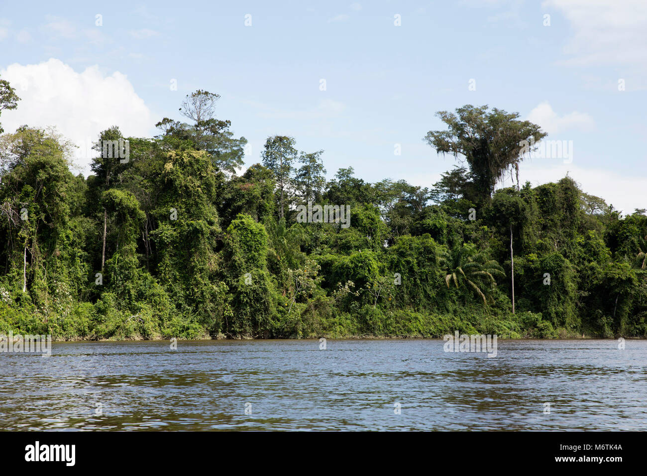 Coppename river hi-res stock photography and images - Alamy