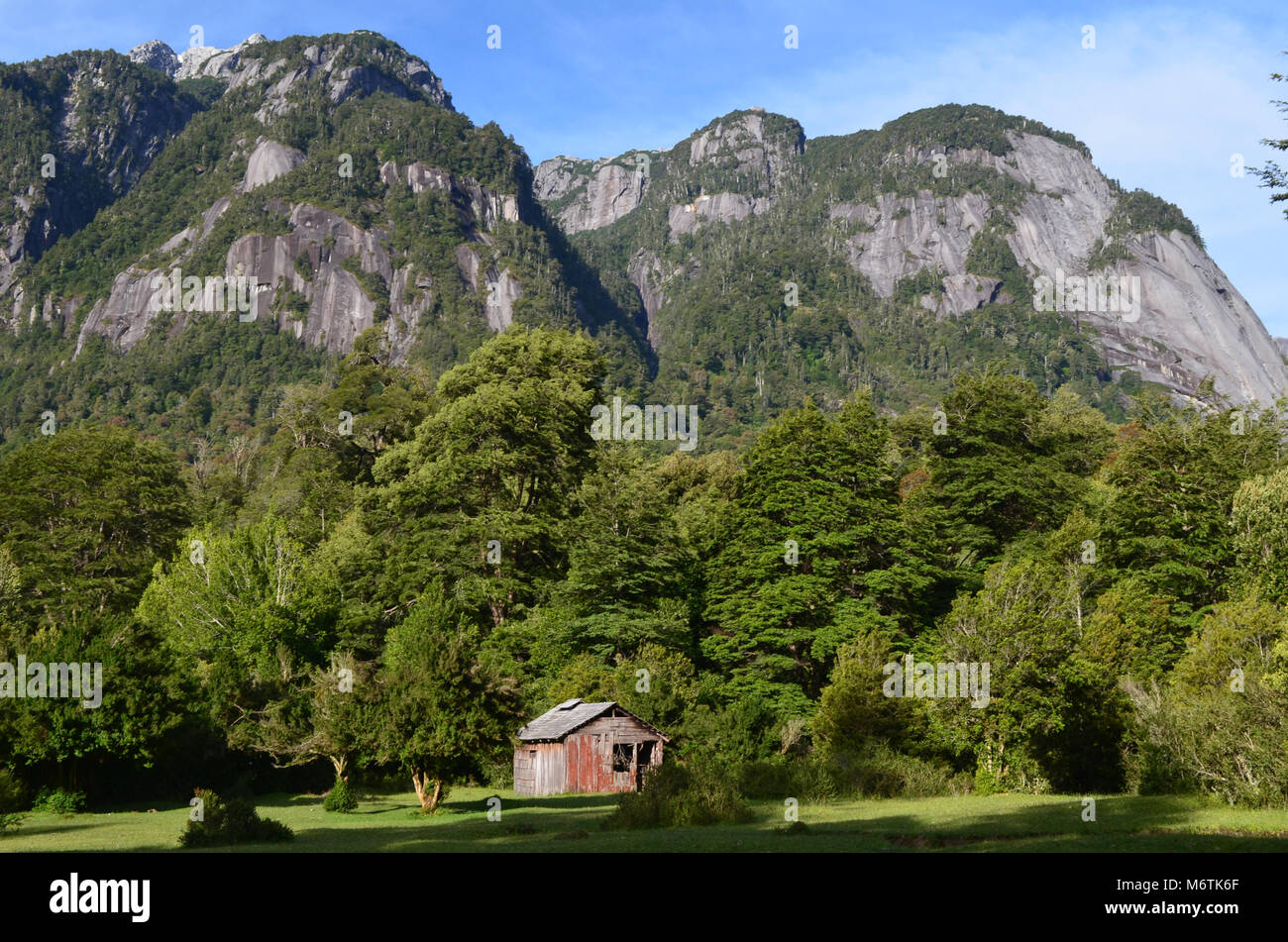Valdivian temperate rainforests in southern Chile (Chilean Patagonia ...