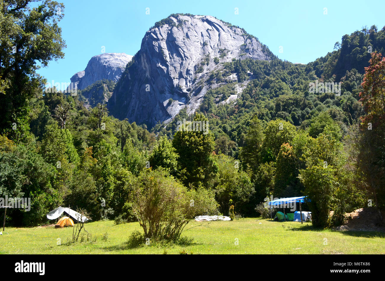 Valdivian temperate rainforests in southern Chile (Chilean Patagonia ...