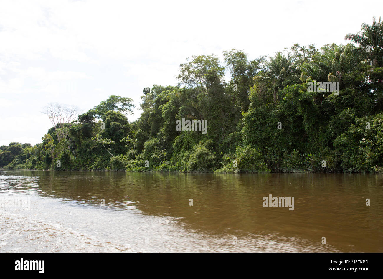 Scenes along the Coppename river, Suriname, South America Stock Photo ...