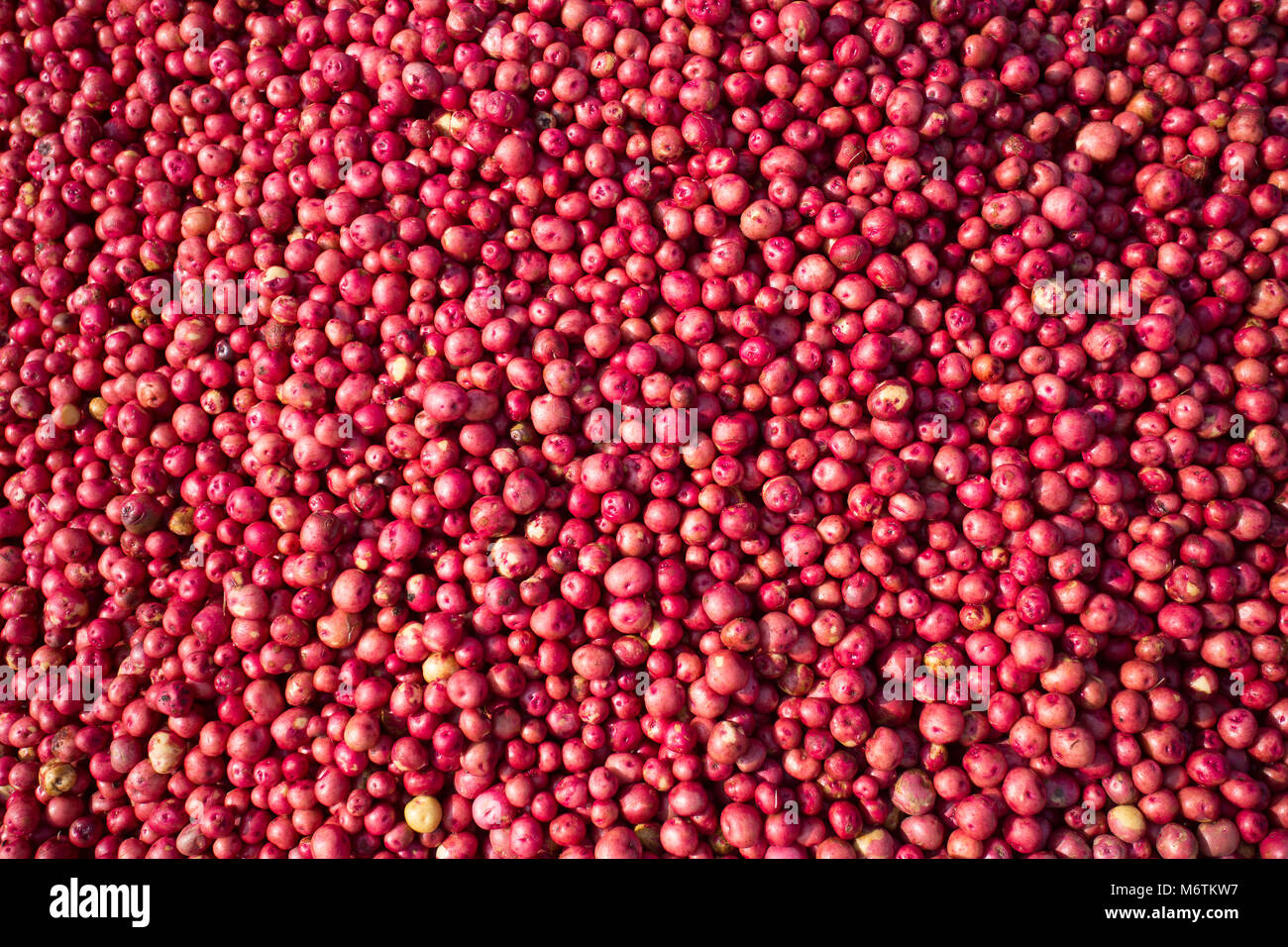 Soil slotting hi-res stock photography and images - Alamy